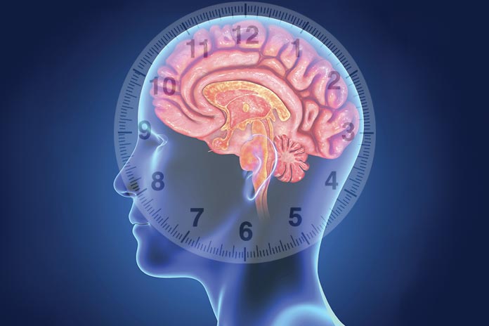 El reloj biológico del cuerpo humano - Premio Nobel de Medicina 2017 ...